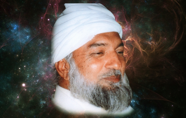 سیدناگوھرشاہی نظام شمسی کےہرسیارےپرحاظر وناظرہیں – مہدی فاوٗنڈیشن انٹرنیشنل